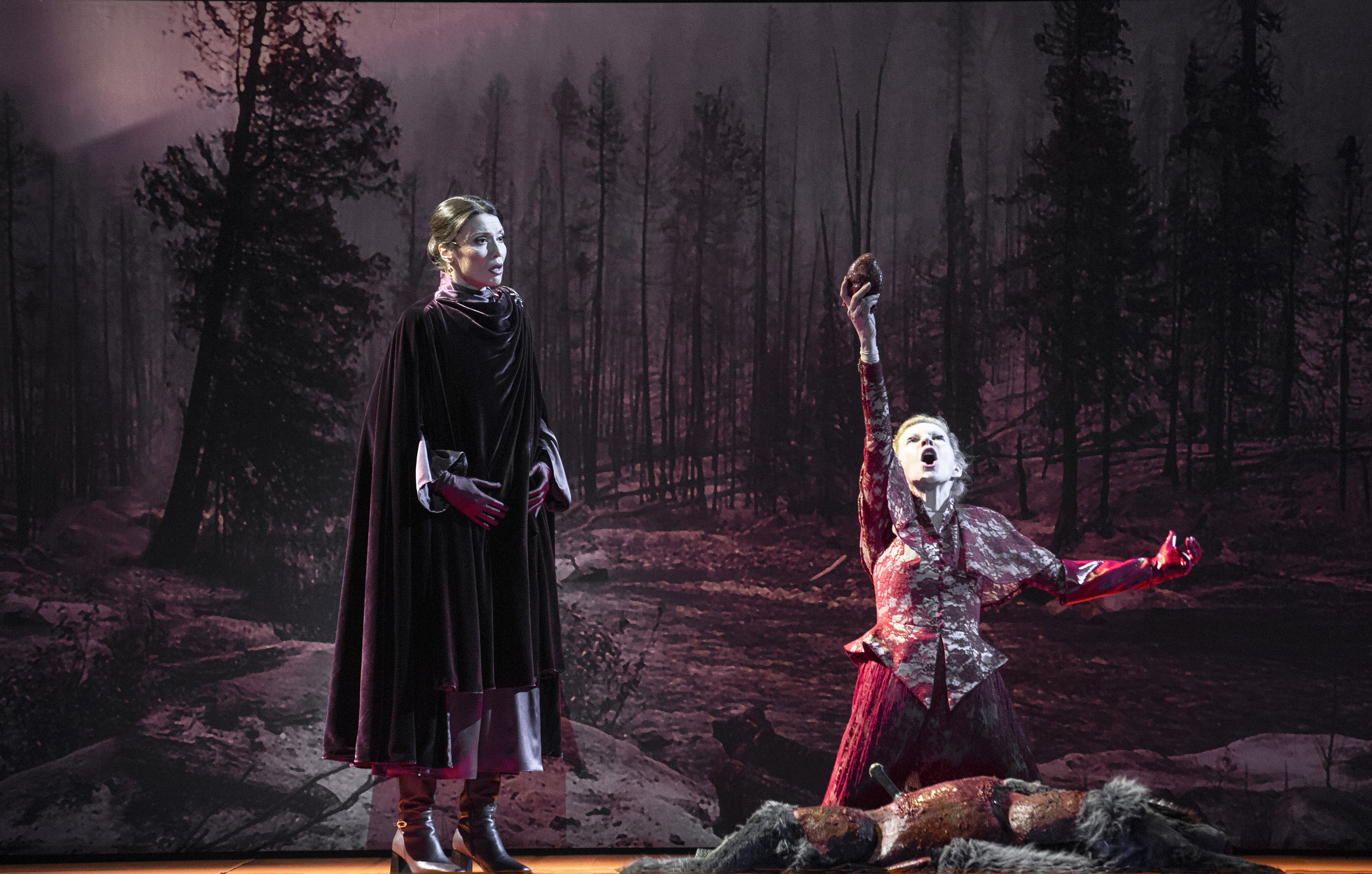 Sirds operācija mežā. Sāpju un traumas izjūta Matiasa Pinčera operas ...