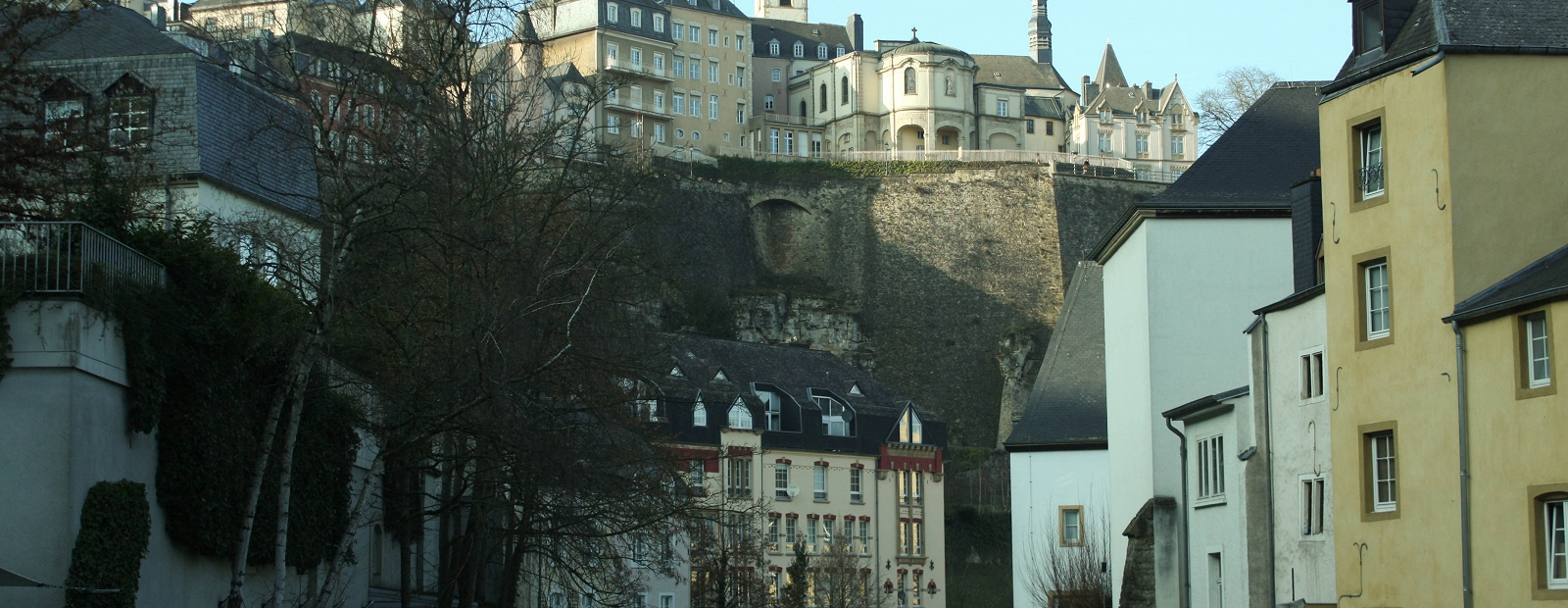 Eiropas cietais rieksts / Diena