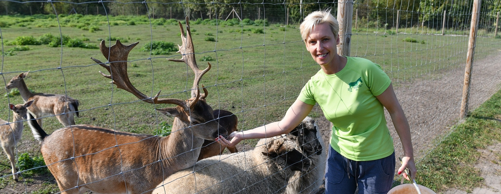 FOTO: Viesojamies piemājas zoodārzā Brieži / Diena
