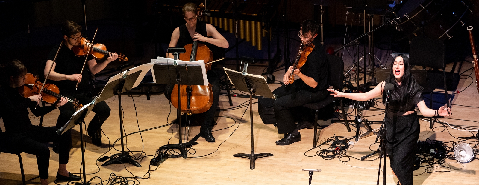 Koncertzālē Latvija novembrī notiks muzikas festivāls Ecstatic Music ...