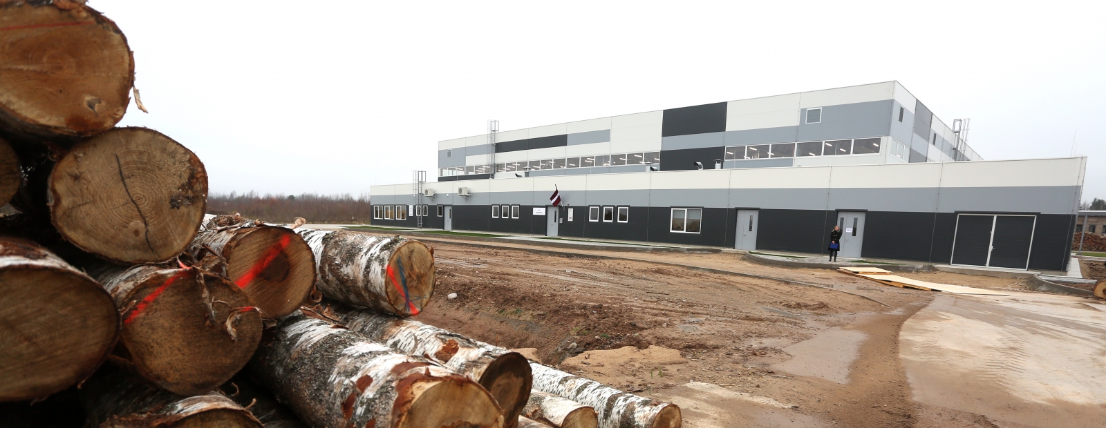 Investējot 10 miljonus eiro, Ernests Bernis atklāj mūsdienīgu finiera ...