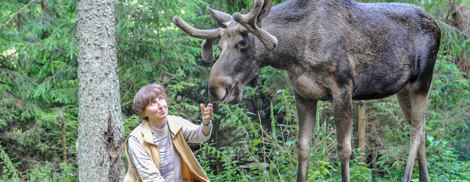 Tiek slēgtas Līgatnes dabas takas, informācijas un dabas centri / Diena