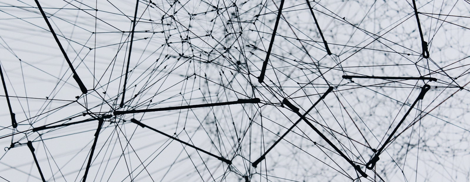 Tīkla mārketinga tīklos / Diena